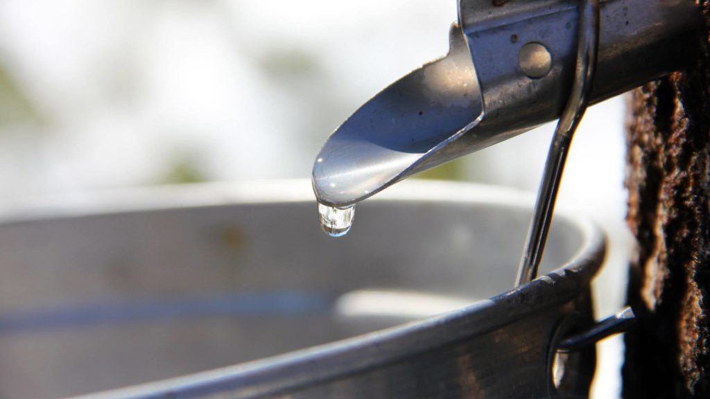 Read Our Blog for the Best Events & Activities in the Berkshires