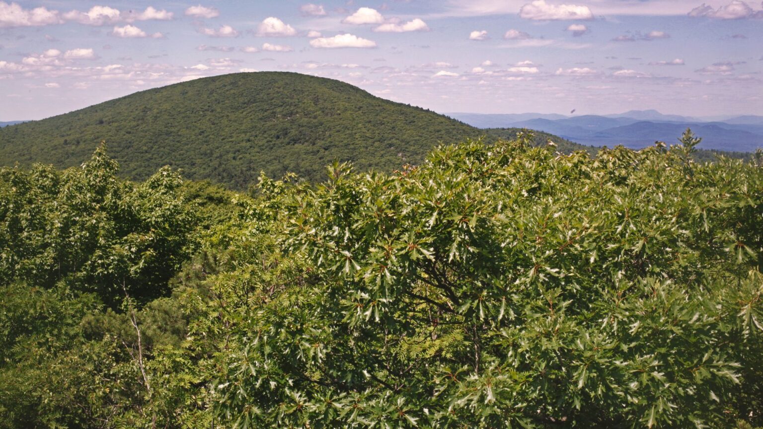 Hiking in Mount Everett State Reservation